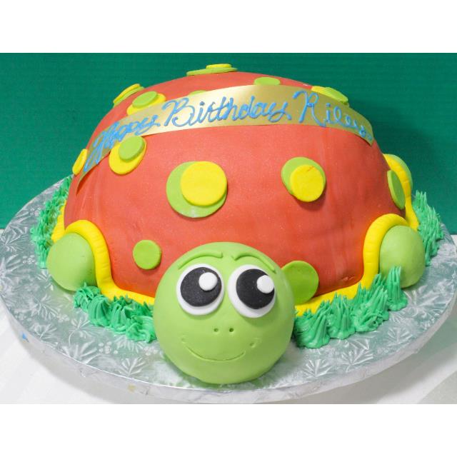 Turtle Dots – Fratellis Pastry Shop